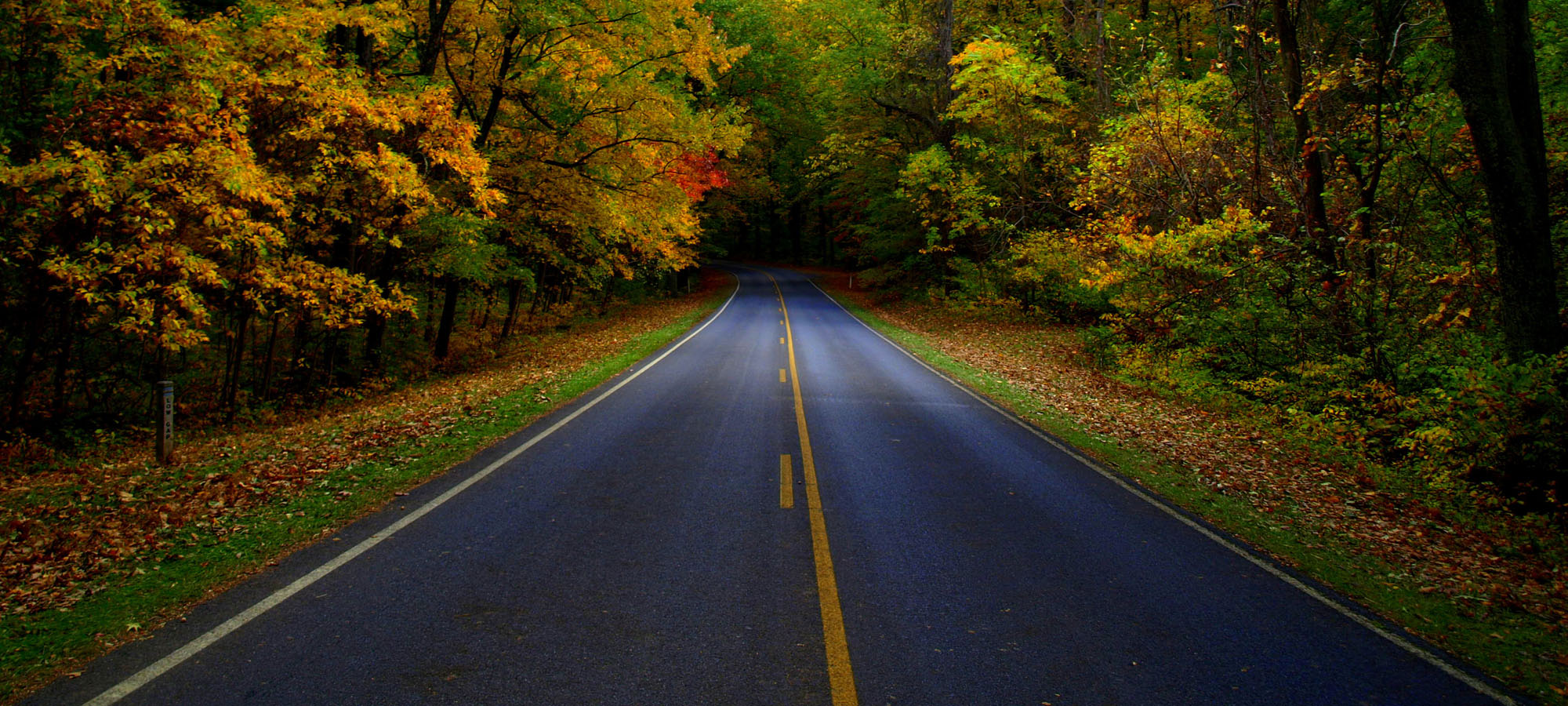 First Bank. There's Power In One. Business and personal banking.